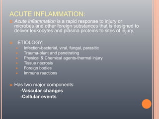 inflammation 2- FINAL.powerpoint presentation | PPTX