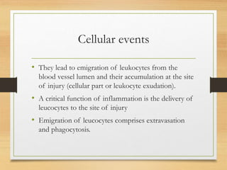 Inflammation 2new | PPT