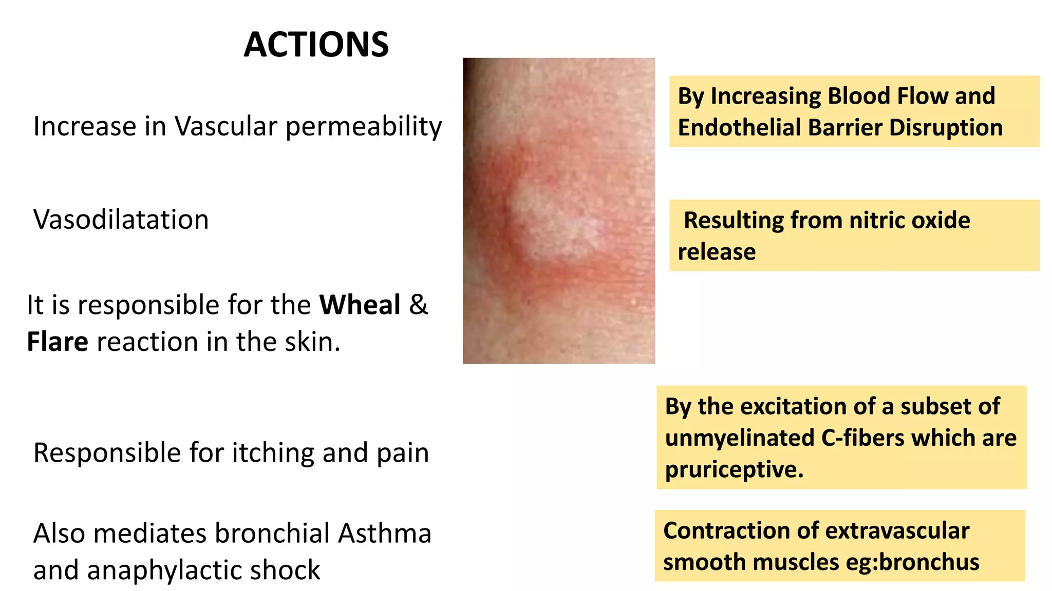 CHEMICAL MEDIATORS OF INFLAMMATION: HISTAMINE &SEROTONIN | PPTX