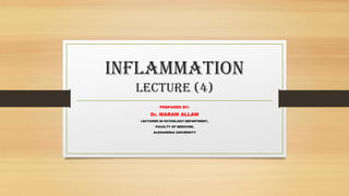 Inflammation 4 - inflammation pathology lecture series | PPT