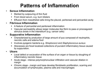 Inflammation and Healing.ppt