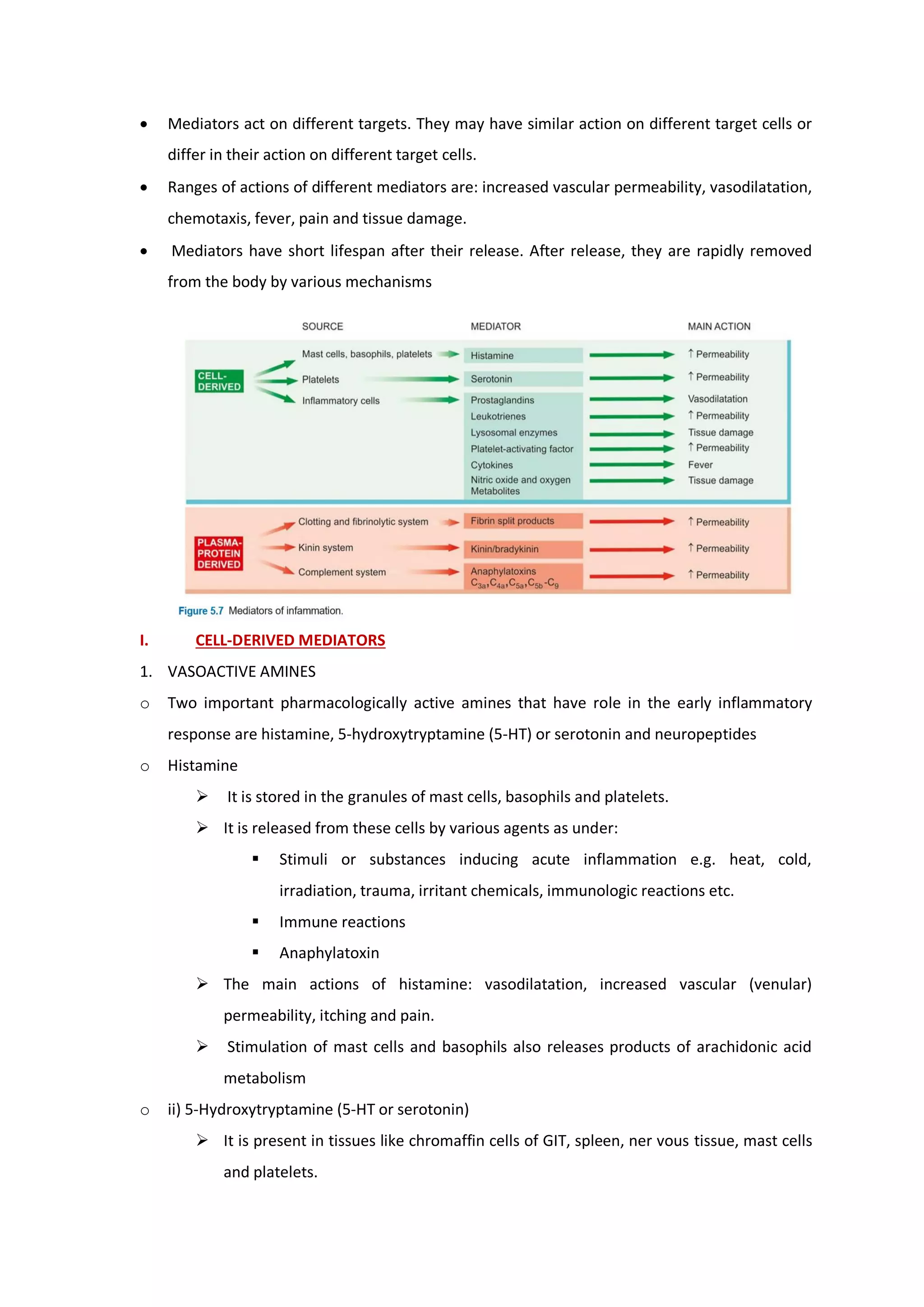 Inflammation notes Pathophysiology | PDF