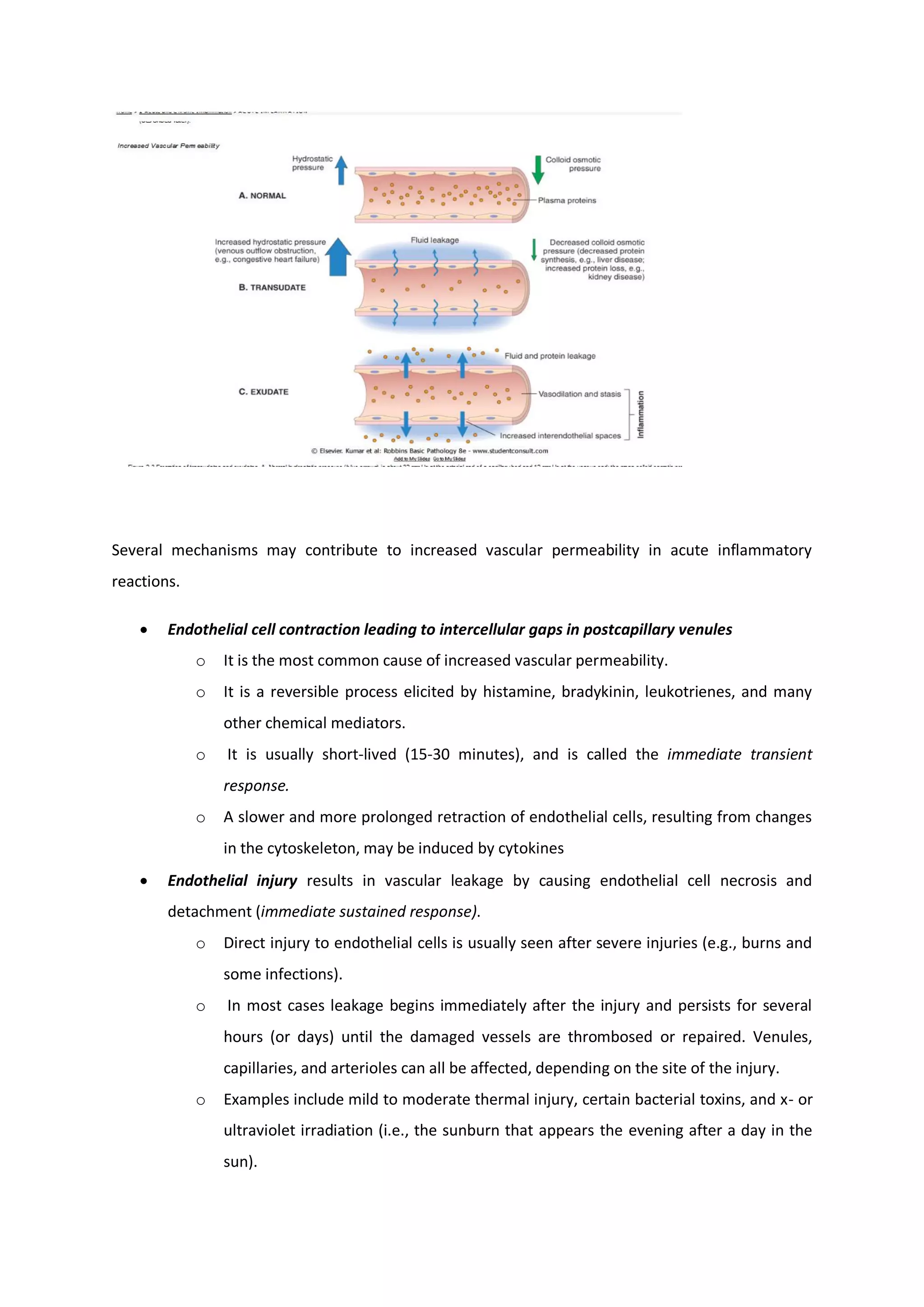 Inflammation notes Pathophysiology | PDF