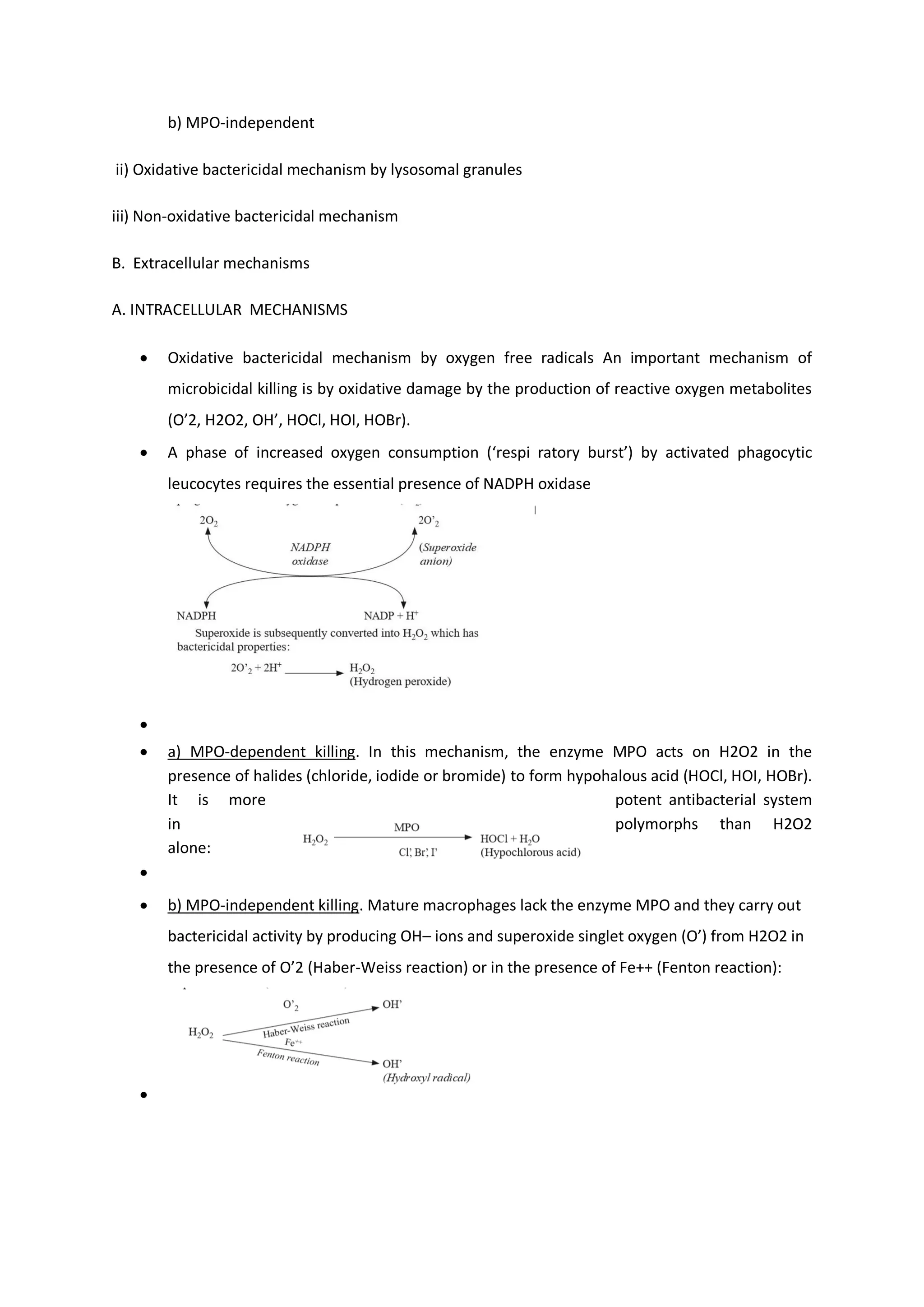 Inflammation notes Pathophysiology | PDF