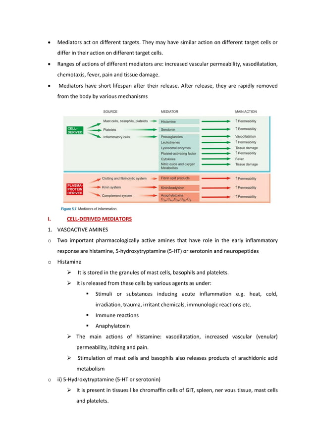 Inflammation notes Pathophysiology | PDF