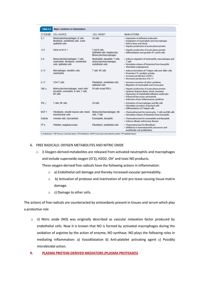 Inflammation notes Pathophysiology | PDF