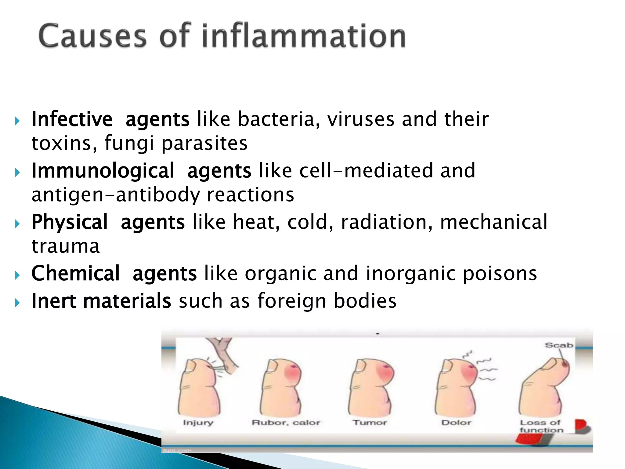 Inflammation and its mechanism | PPTX