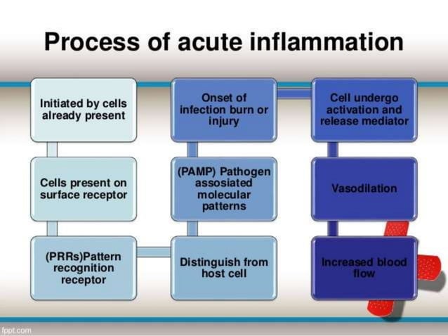 Inflammation and its mechanism | PPTX | Chemistry | Science