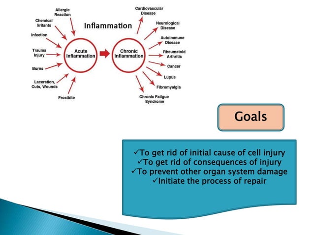 Inflammation and its mechanism | PPTX | Chemistry | Science