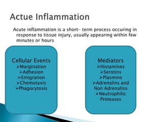Inflammation and its mechanism | PPTX