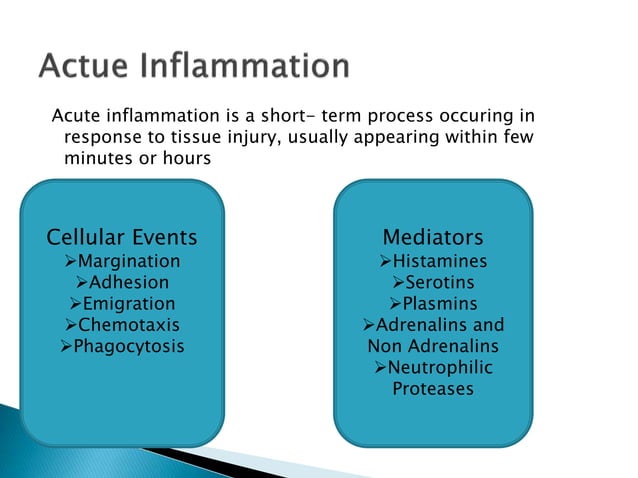 Inflammation and its mechanism | PPTX | Chemistry | Science