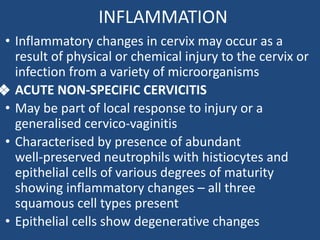 INFLAMMATION AND OTHER BENIGN REACTIVE CHANGES.ppt.pdf | Blood ...