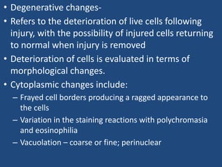 INFLAMMATION AND OTHER BENIGN REACTIVE CHANGES.ppt.pdf | Blood ...
