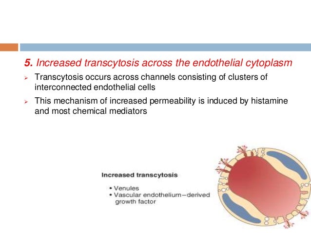 Inflammation and Repair