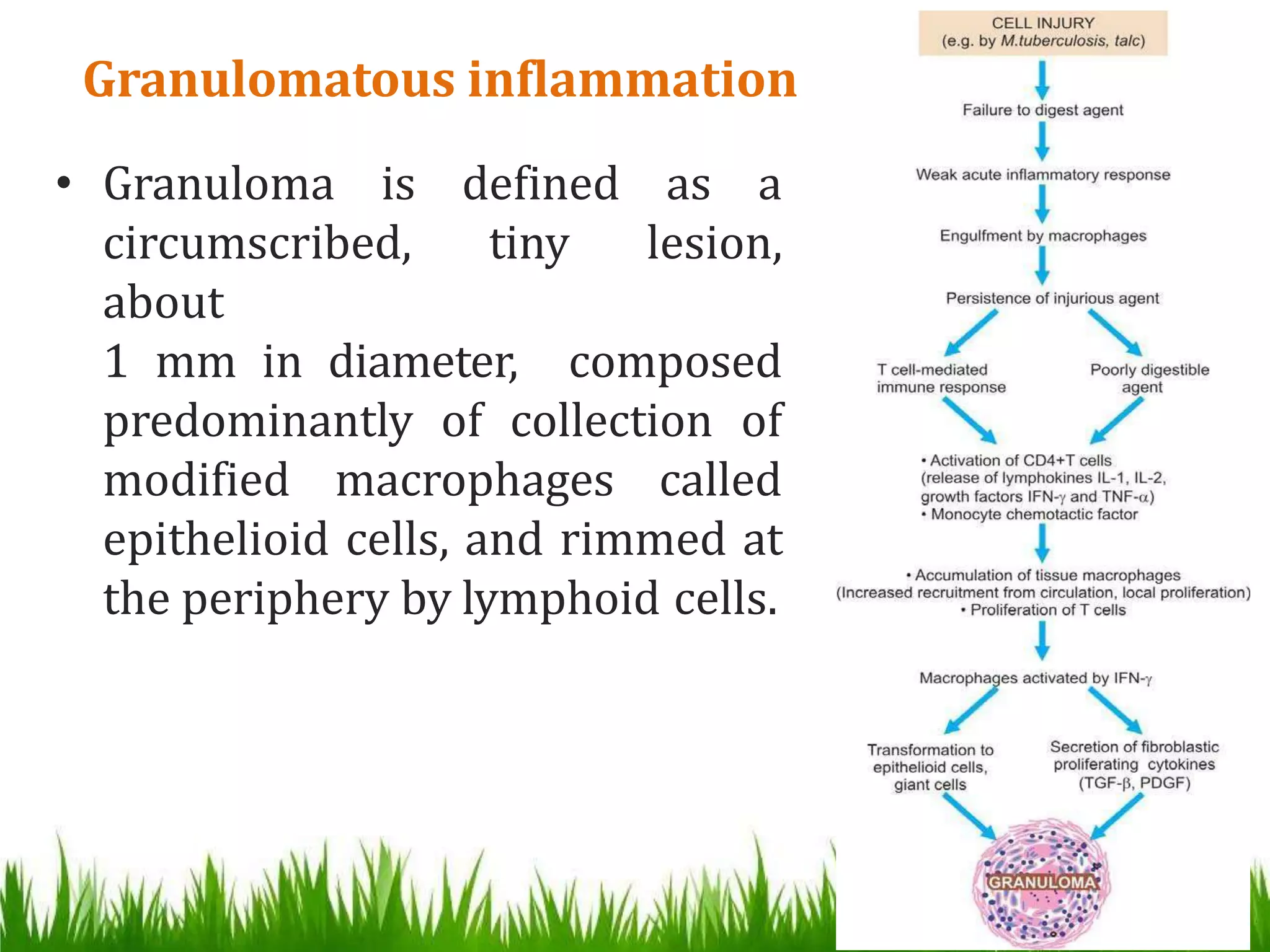 Inflammation and repair | PPTX