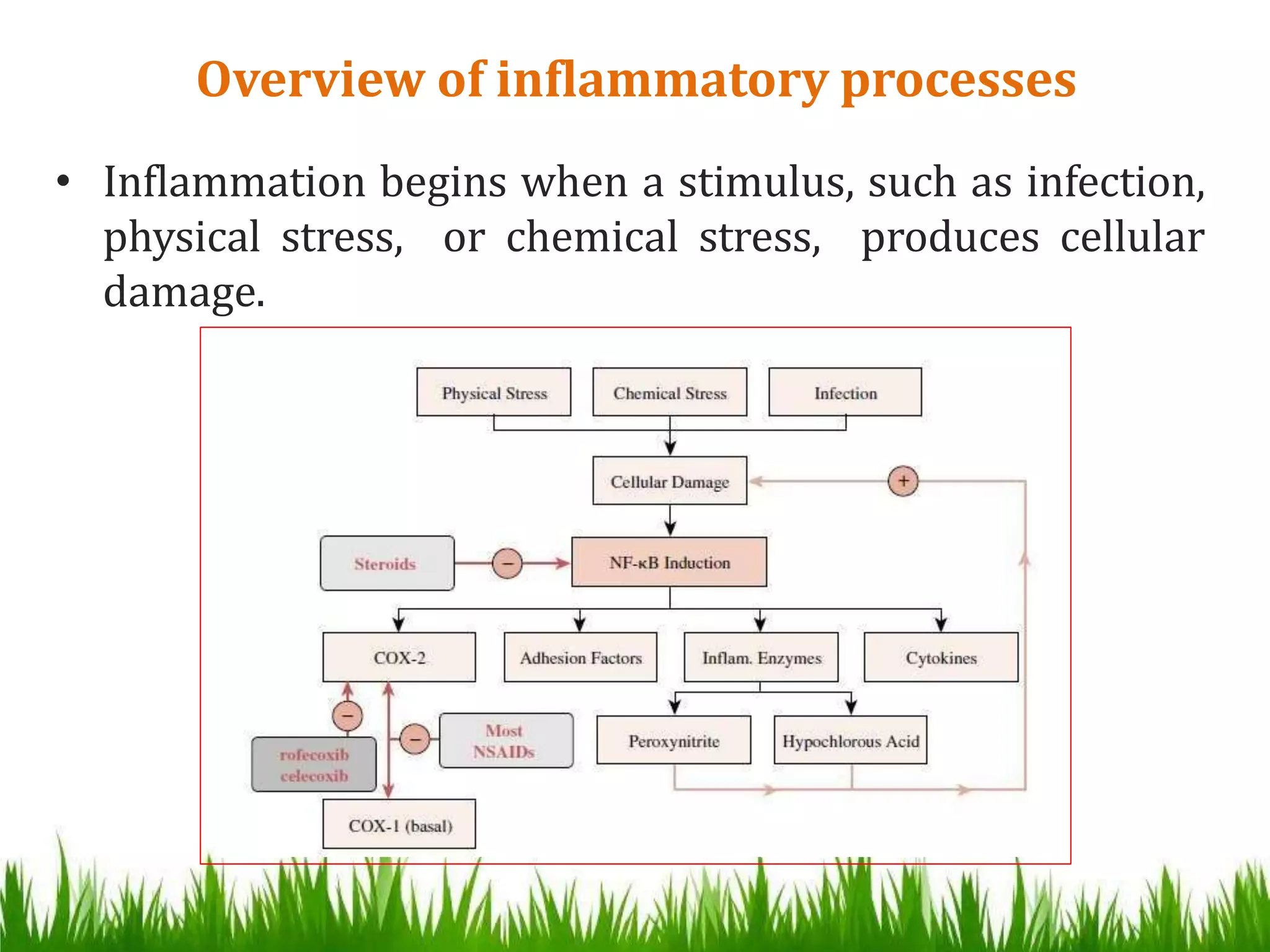 Inflammation and repair | PPTX