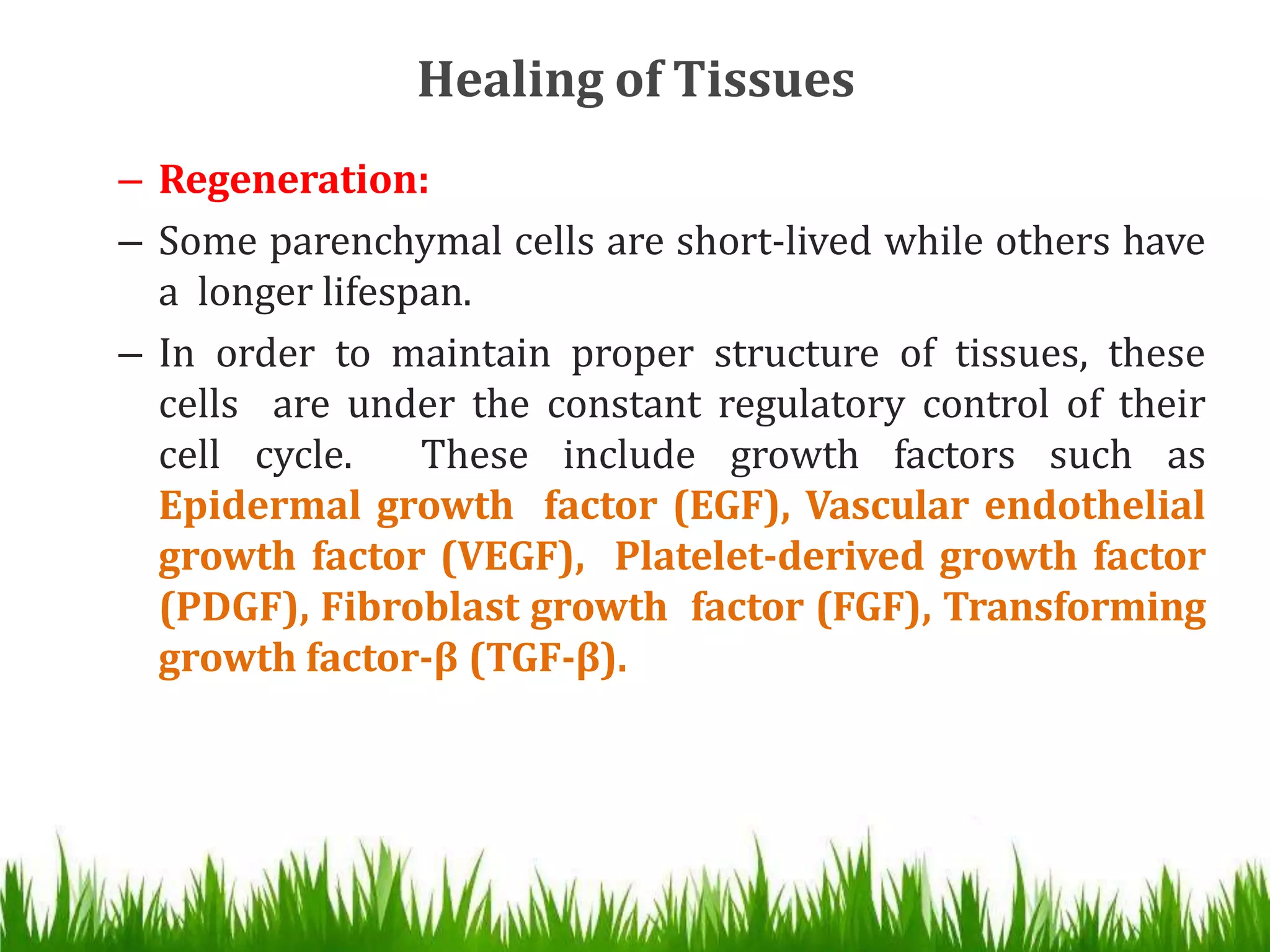 Inflammation and repair | PPTX