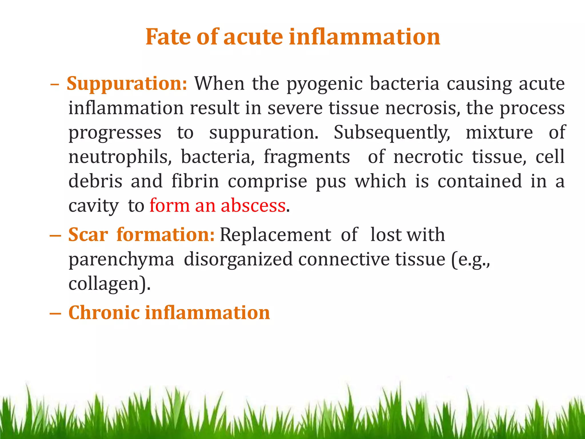 Inflammation and repair | PPTX