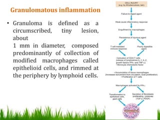 Inflammation and repair | PPTX