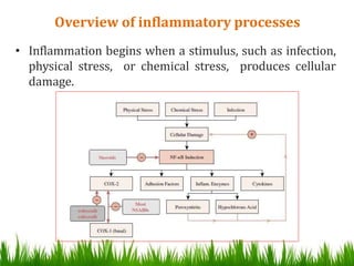 Inflammation and repair | PPTX