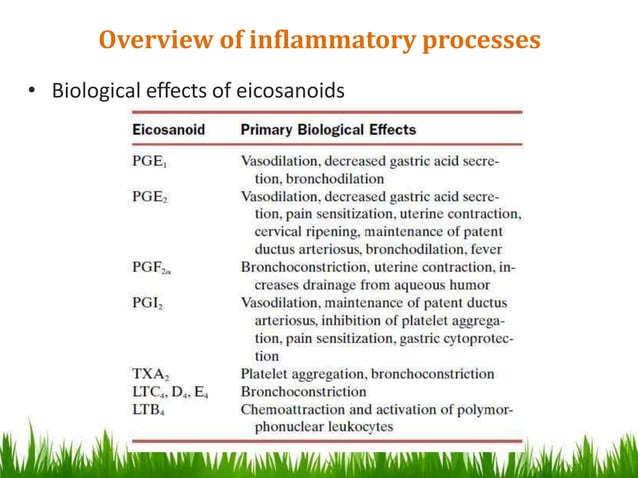 Inflammation and repair | PPTX | Blood Disorders | Diseases and Conditions