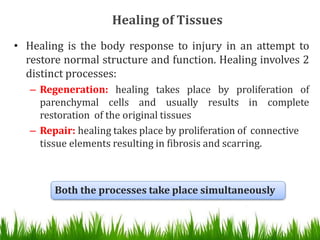 Inflammation and repair | PPTX