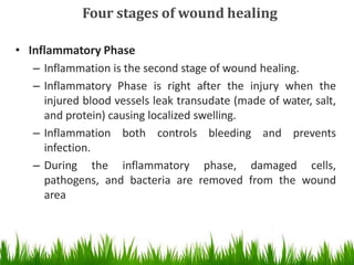 Inflammation and repair | PPTX