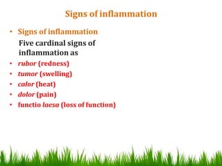 Inflammation and repair | PPTX | Blood Disorders | Diseases and Conditions