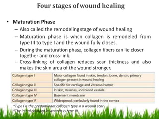 Inflammation and repair | PPTX