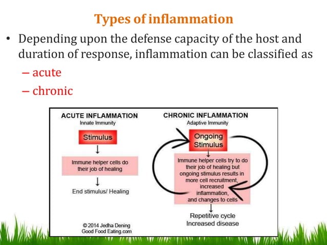 Inflammation and repair | PPTX | Blood Disorders | Diseases and Conditions