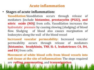Inflammation and repair | PPTX