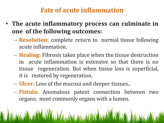 Inflammation and repair | PPTX | Blood Disorders | Diseases and Conditions