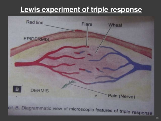 Inflammation and repair darpan