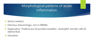 Inflammation and repair rince | PPTX