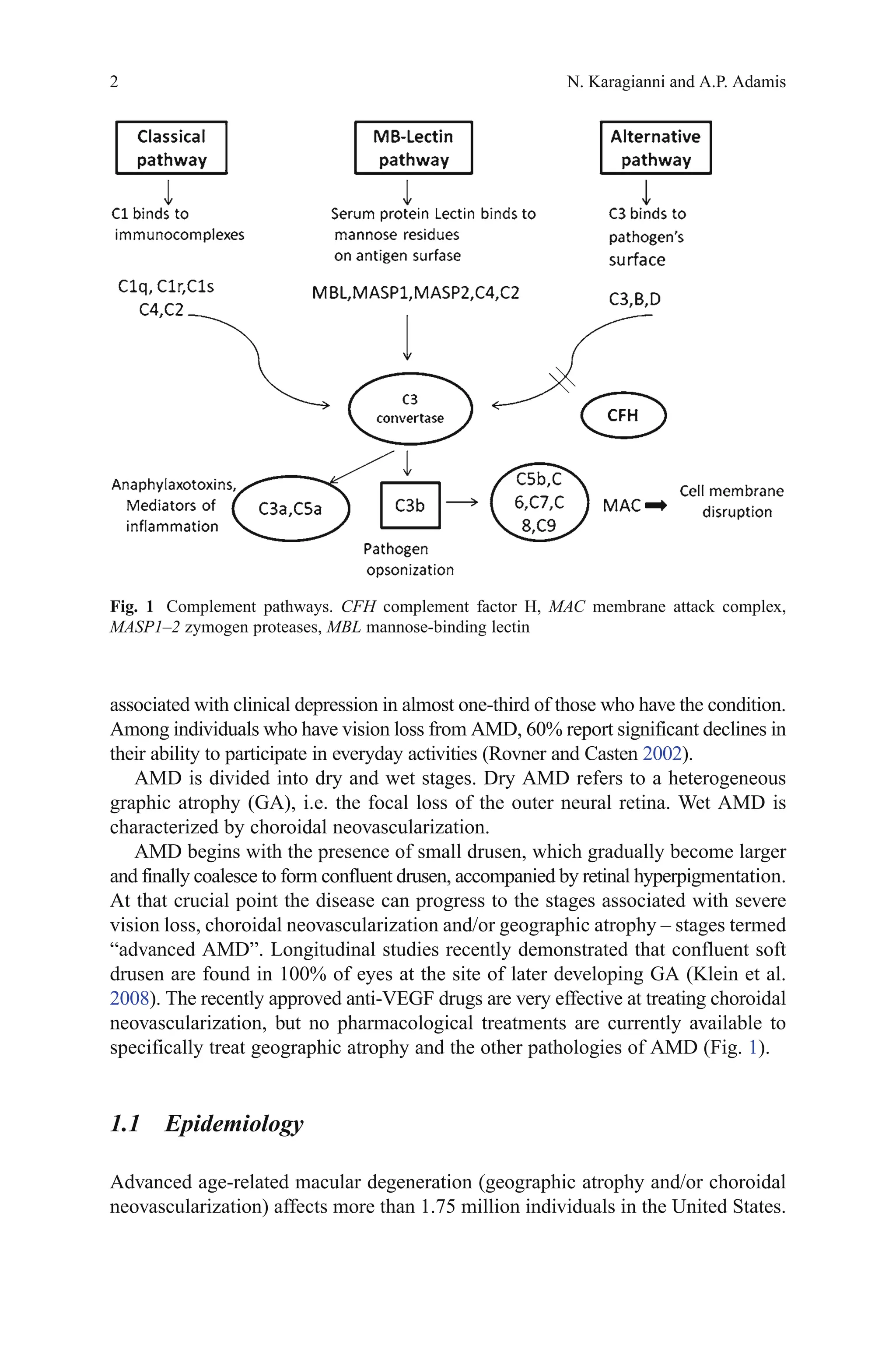 Inflammation and Retinal Disease Complement Biology and Pathology.pdf