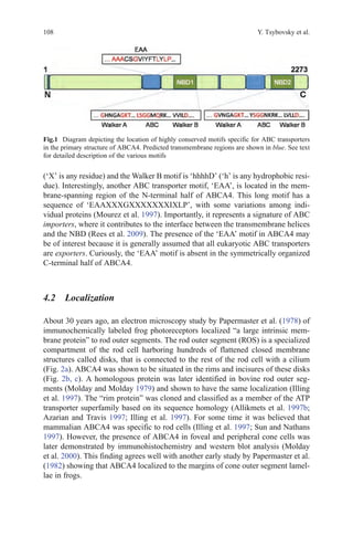 Inflammation and Retinal Disease Complement Biology and Pathology.pdf