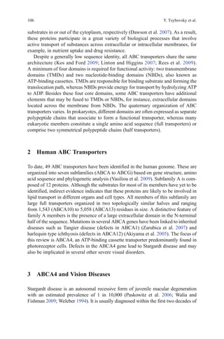 Inflammation and Retinal Disease Complement Biology and Pathology.pdf