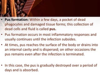Inflammation and tissue Repair.pptx cell injury | PPTX