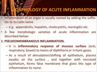 Inflammation and tissue Repair.pptx cell injury | PPTX