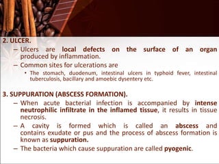 Inflammation and tissue Repair.pptx cell injury | PPTX