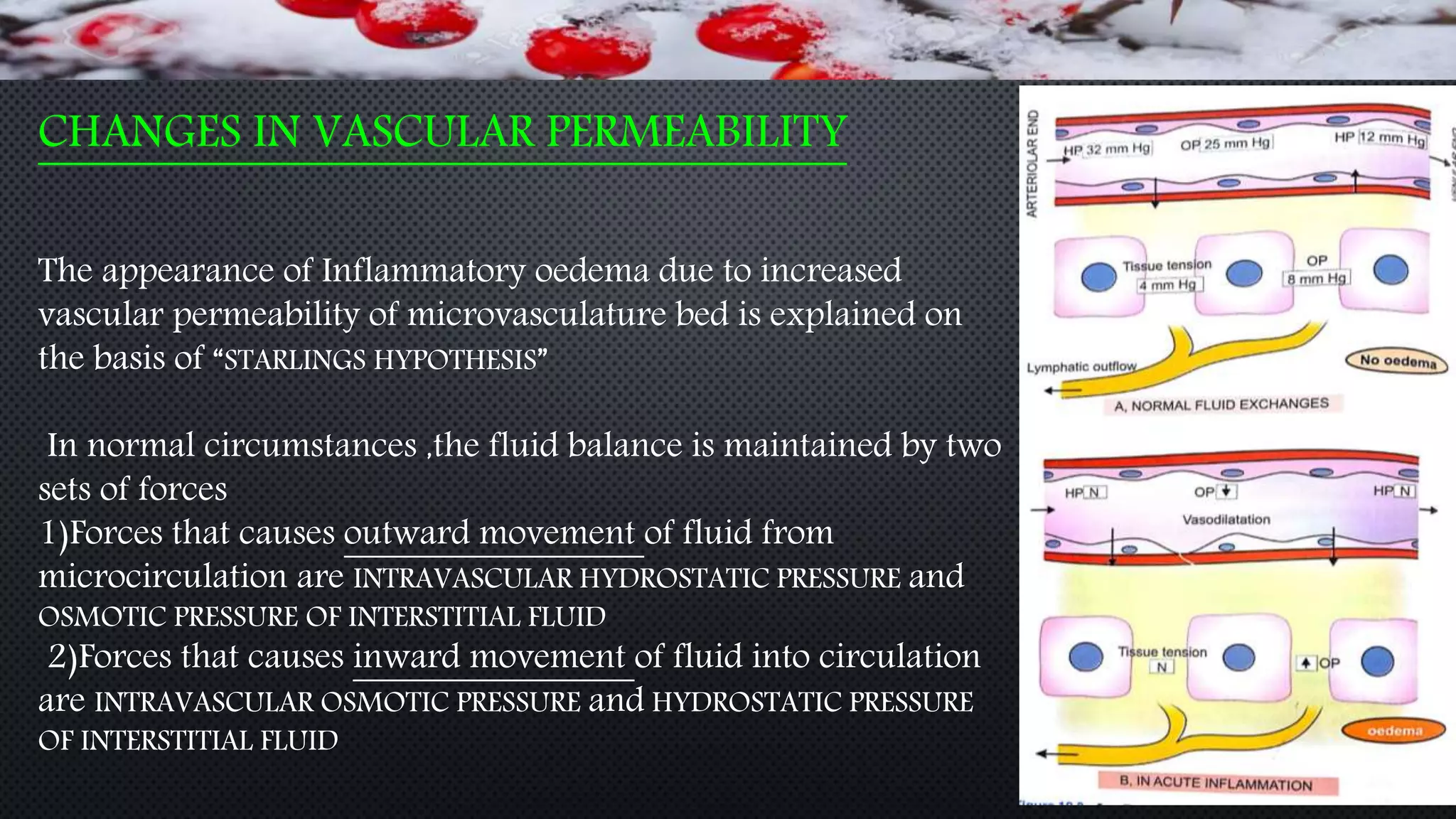 Inflammation and wound healing | PPTX