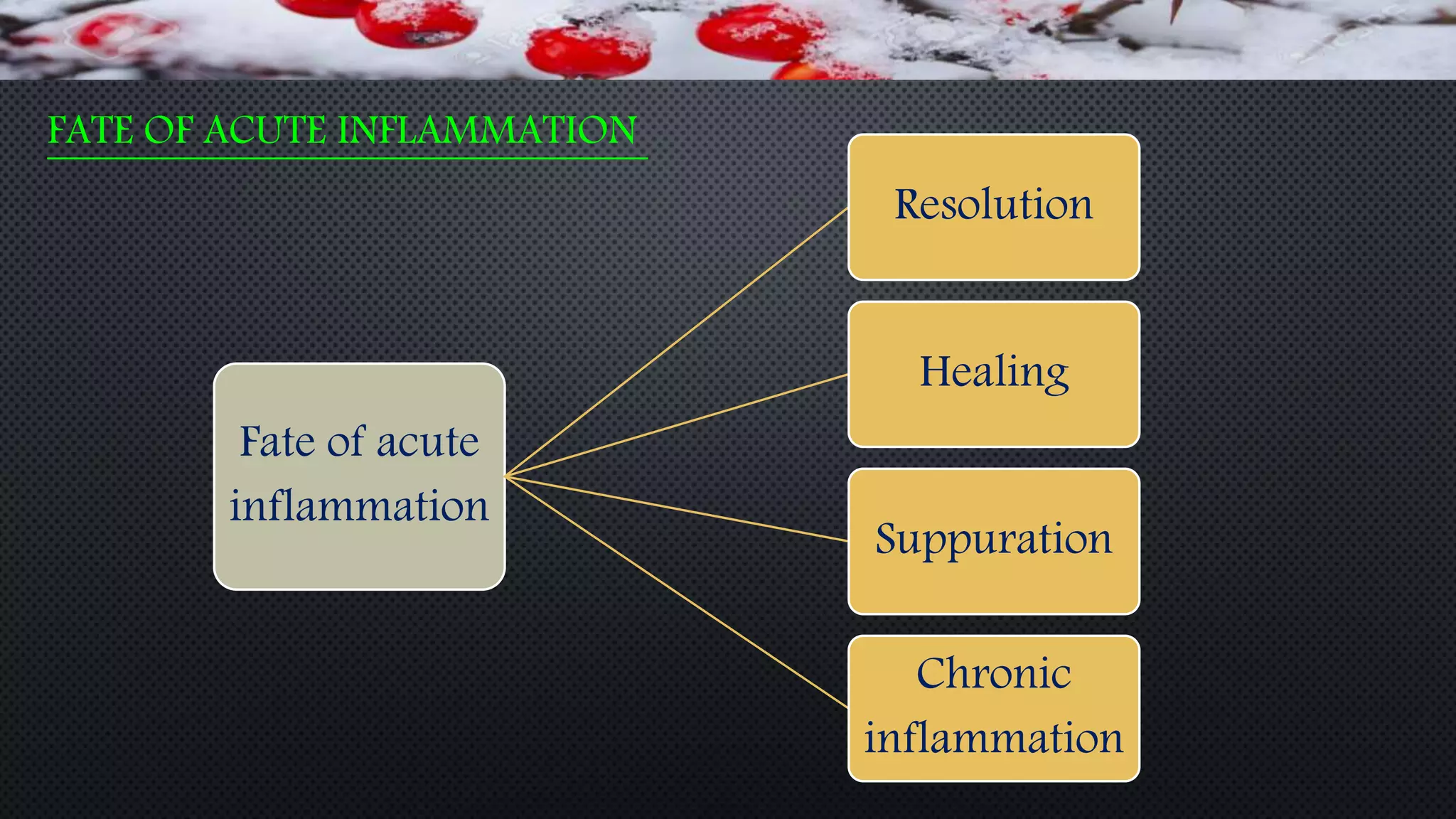 Inflammation and wound healing | PPTX