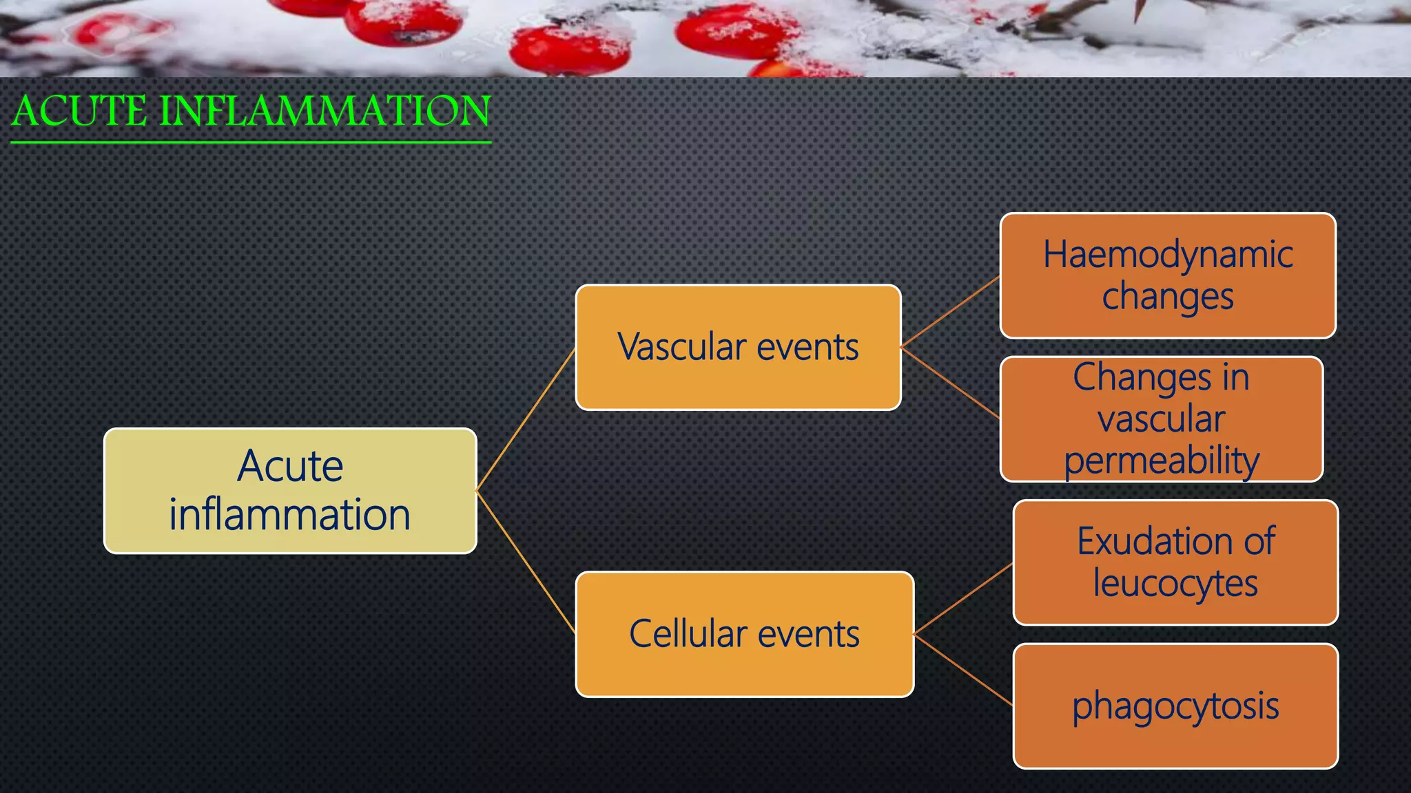Inflammation and wound healing | PPTX