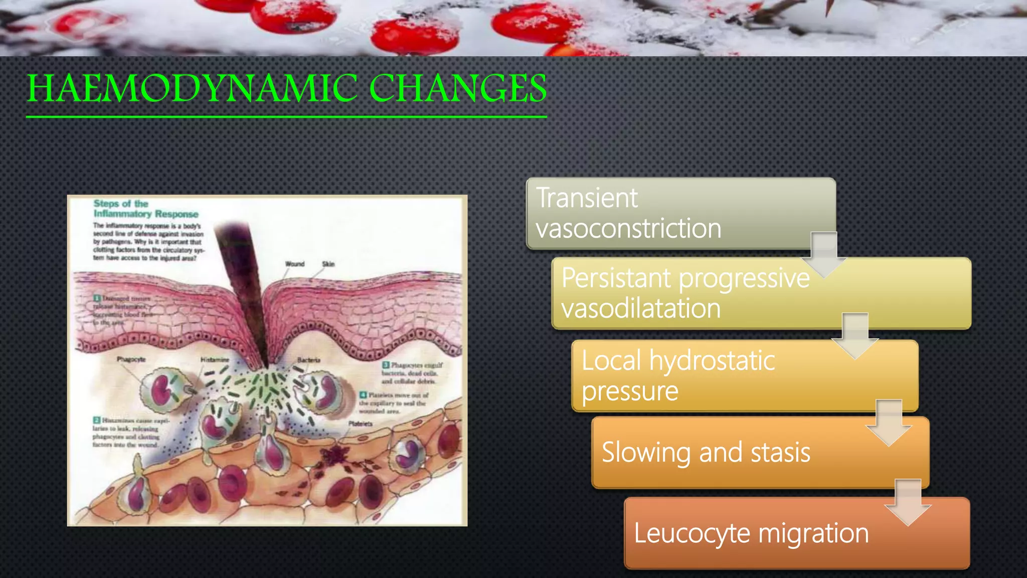 Inflammation and wound healing | PPTX