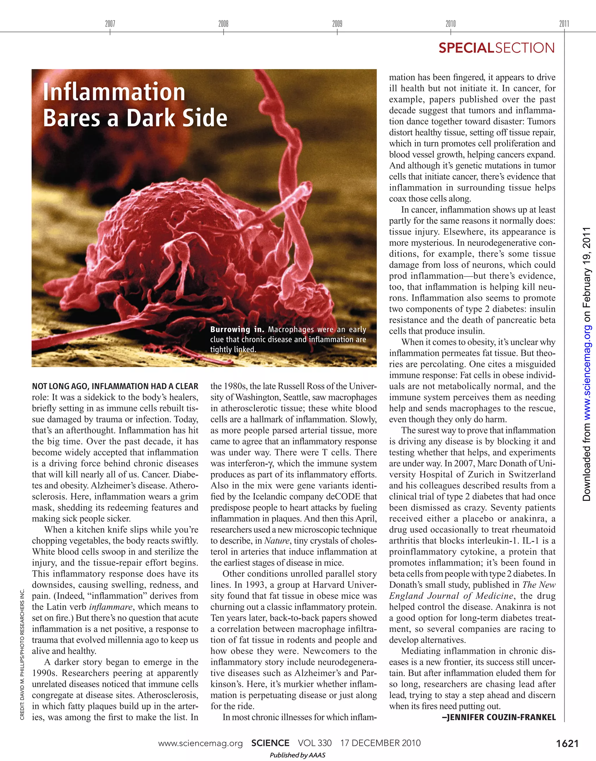 Inflammation bares a dark side | PDF