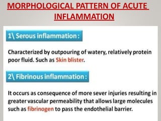inflammation by Dr. Raafat AL-Awadhi.pptx