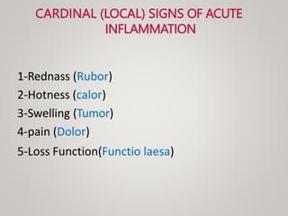 inflammation by Dr. Raafat AL-Awadhi.pptx | Free Download