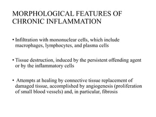 Inflammation by suraj chhetri | PPT