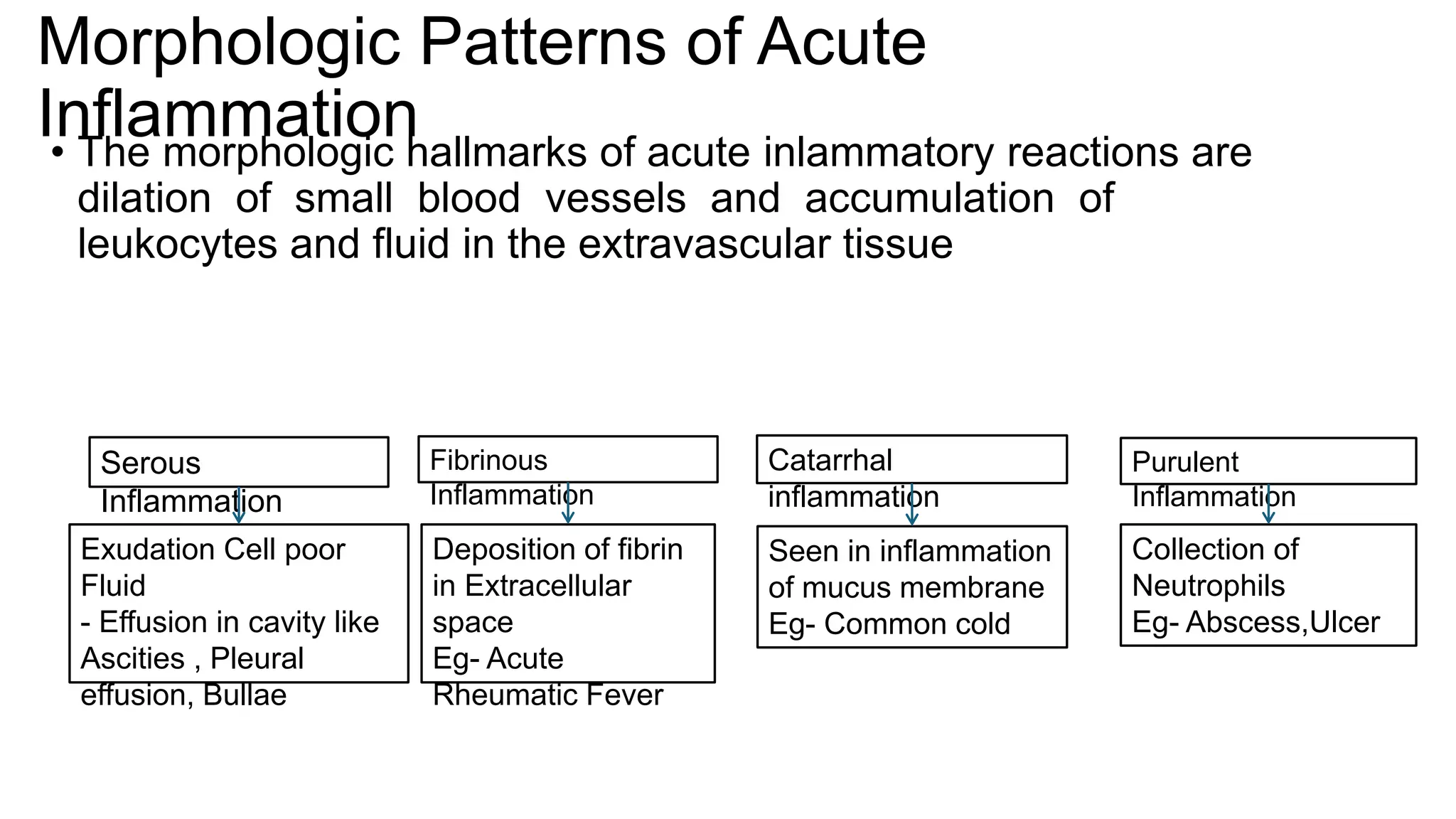 Inflammation & Complement Systems 2.pptx