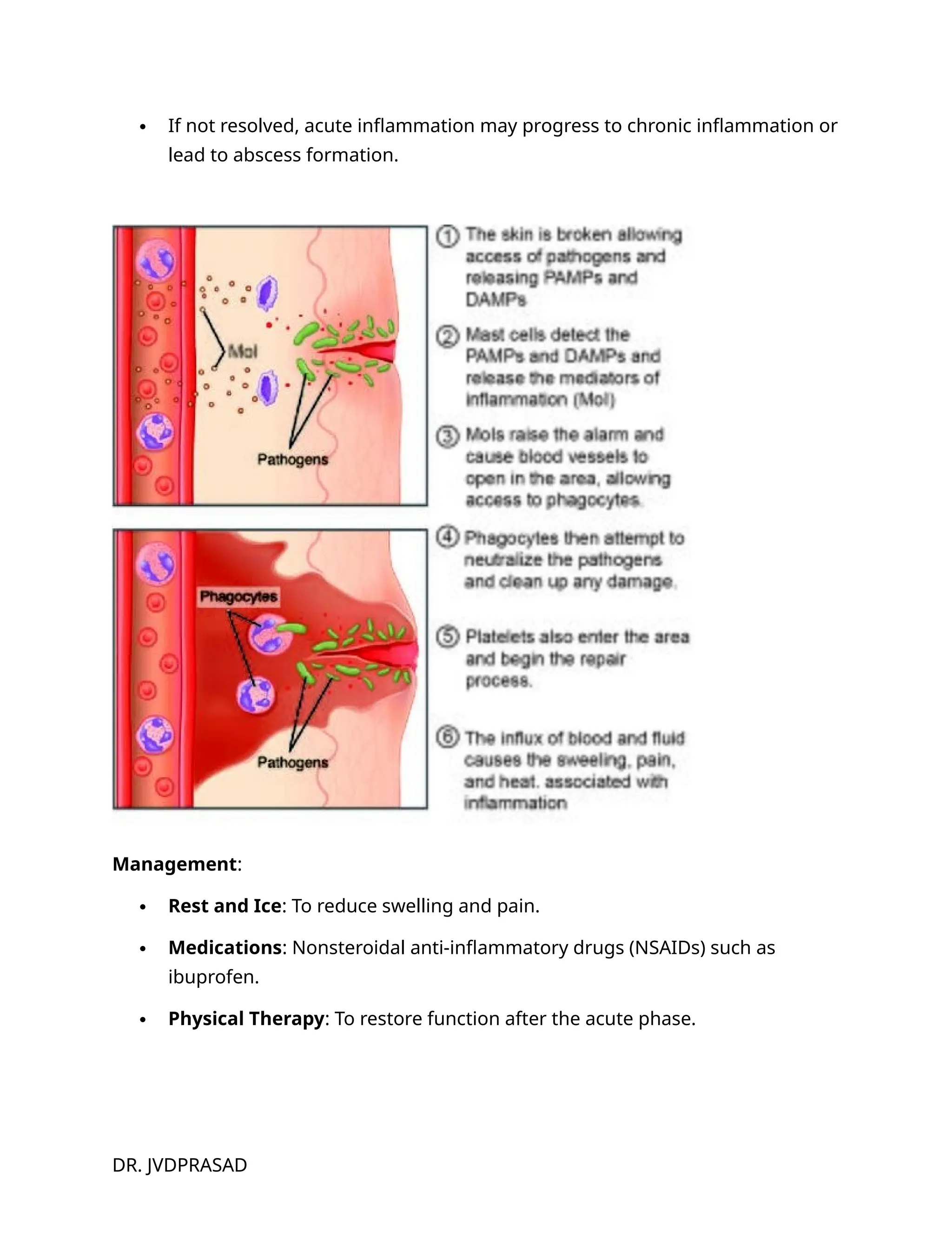 Inflammation - general surgery DR.Jvdprasad.docx